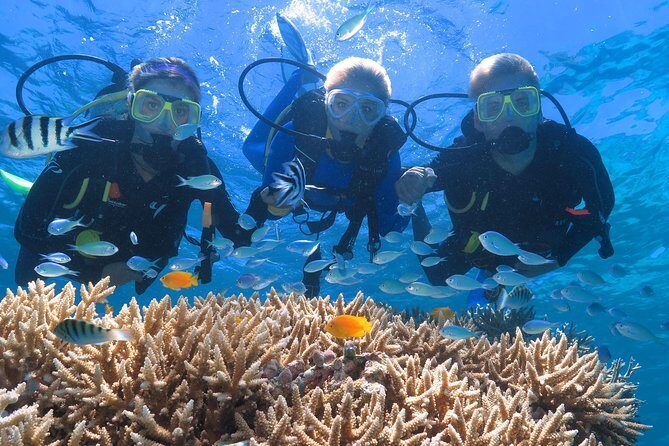 Quicksilver Great Barrier Reef Snorkel Cruise from Port Douglas - FAQ