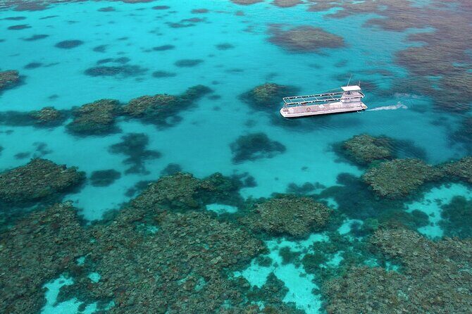 Quicksilver Outer Great Barrier Reef Snorkel Cruise from Palm Cove - Who Would Enjoy This Tour?
