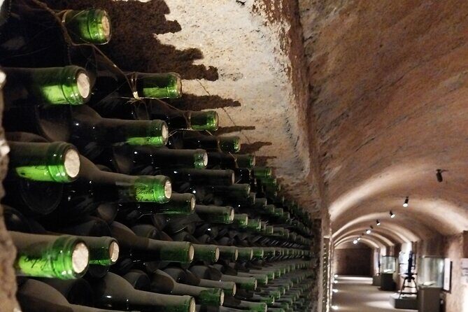 Quiero mas vino, valle de Guadalupe Tours - An In-Depth Look at the Valle de Guadalupe Tour