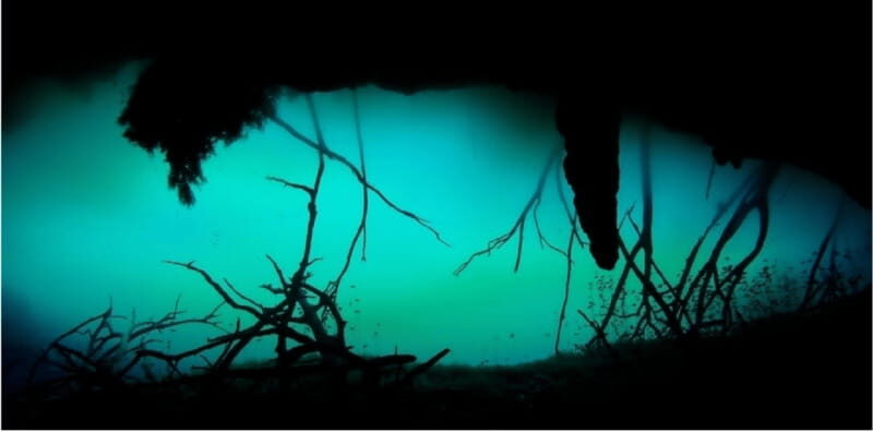 Quintana Roo: Cenote Dive - What to Expect from Your Cenote Adventure