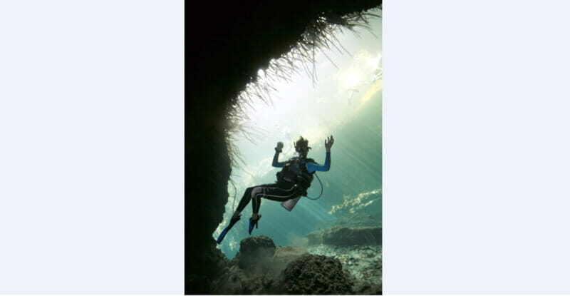 Quintana Roo: Cenote Dive - Why This Tour Offers Great Value