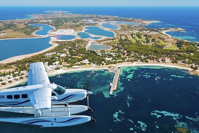 Quokkas Delight Rottnest Island - Key Points
