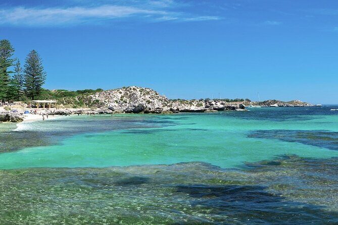 Quokkas Delight Rottnest Island - An In-Depth Look at the Rottnest Island Experience