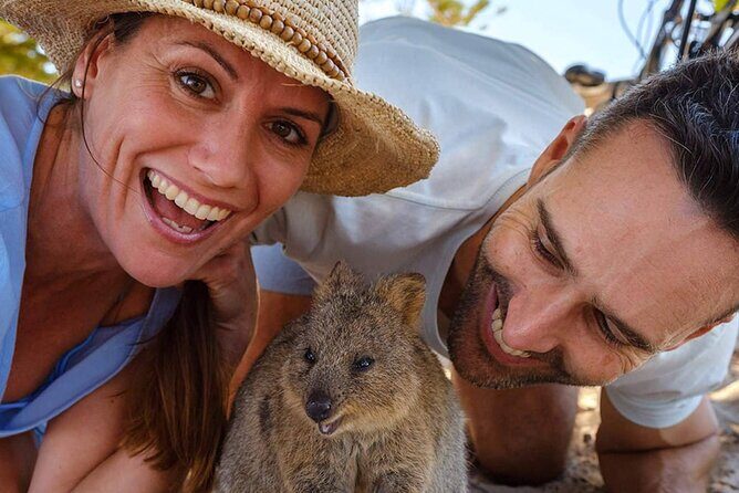 Quokkas Delight Rottnest Island - The Sum Up