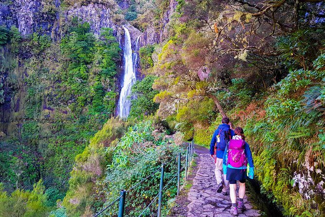 Rabaçal 25 Fontes Levada Walk in Small Groups - Diving Into the Details: What to Expect