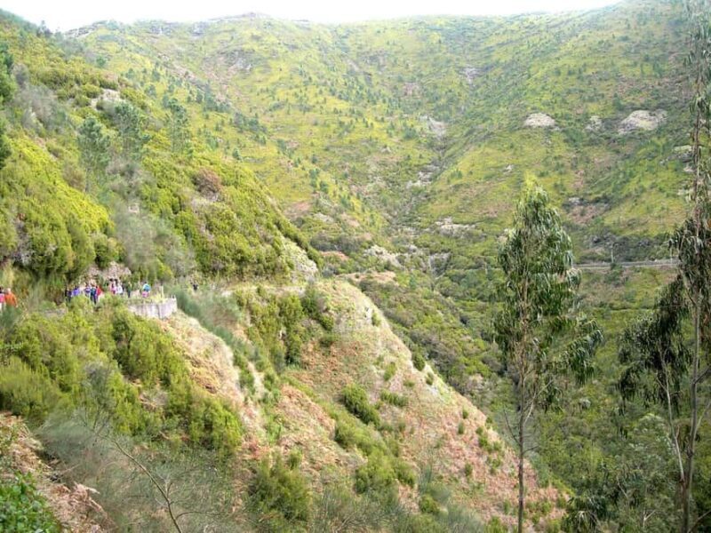 Rabaçal: 25 Fontes & Risco Levada Hiking Transfer - An Honest Look at the Tour Experience