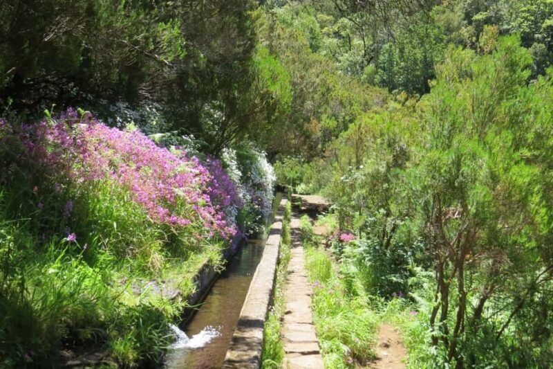 Rabaçal: 25 Fontes & Risco Levada Hiking Transfer - FAQs