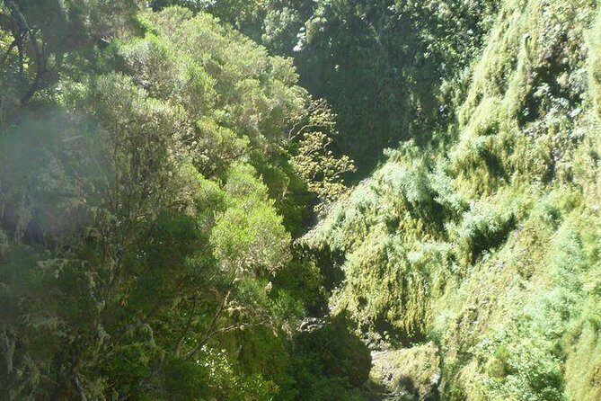 Rabaçal / 25 Fonts - Transportation and Group Size