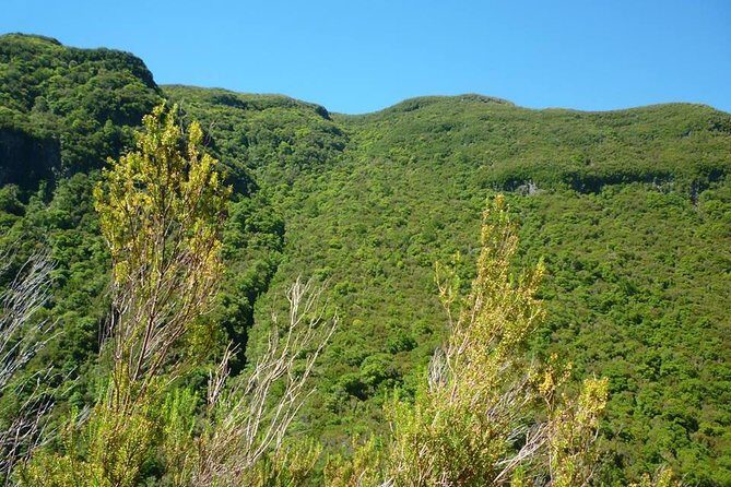 Rabaçal / 25 Fonts - Review Highlights from Travelers