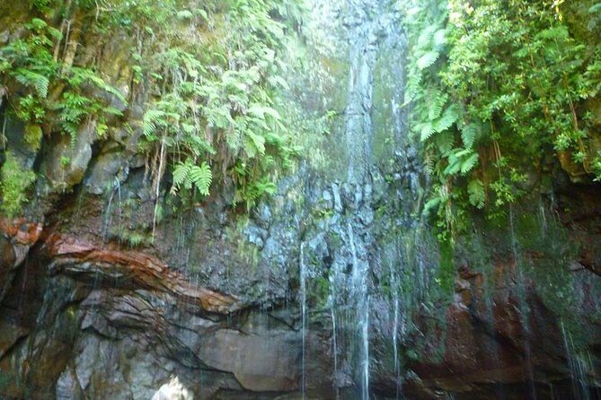 Rabaçal / 25 Fonts - Who Is This Tour Best For?