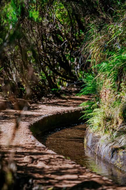 Rabaçal Nature Experience: Alecrim & Lagoa do Vento Hike - Key Points