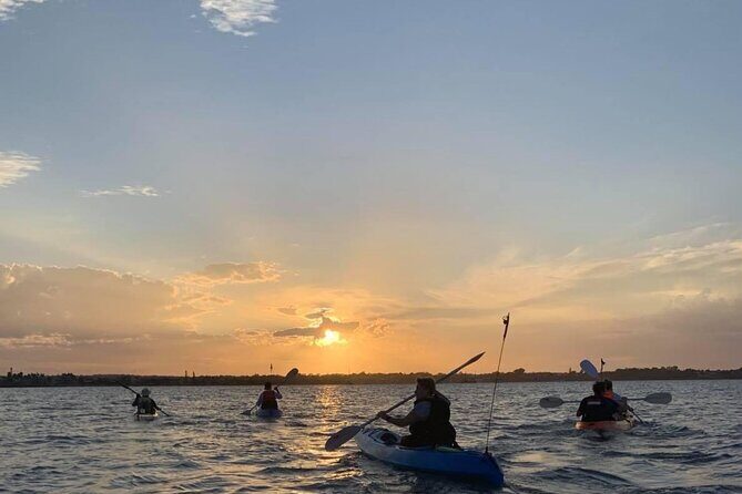 Raby Bay Wildlife Kayak Tour - Setting the Scene: What to Expect from the Tour