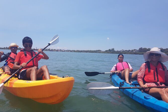 Raby Bay Wildlife Kayak Tour - Who Should Consider This Tour?