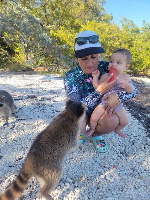 Raccoon Island: Exploration on SUP/Kayak - Key Points
