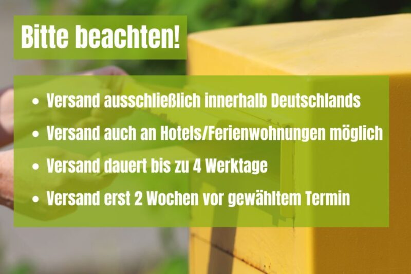 Radebeul: Scavenger Hunt Self Guided Tour - Key Points