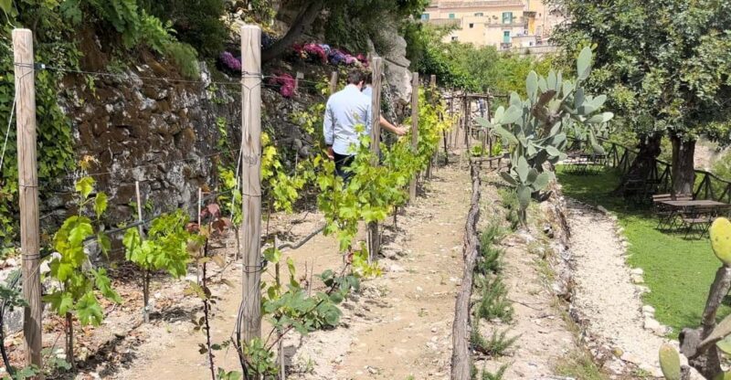 Radici: IImmerse yourself in the heady scents of our garden - A Detailed Look at the Sicilian Garden Tour