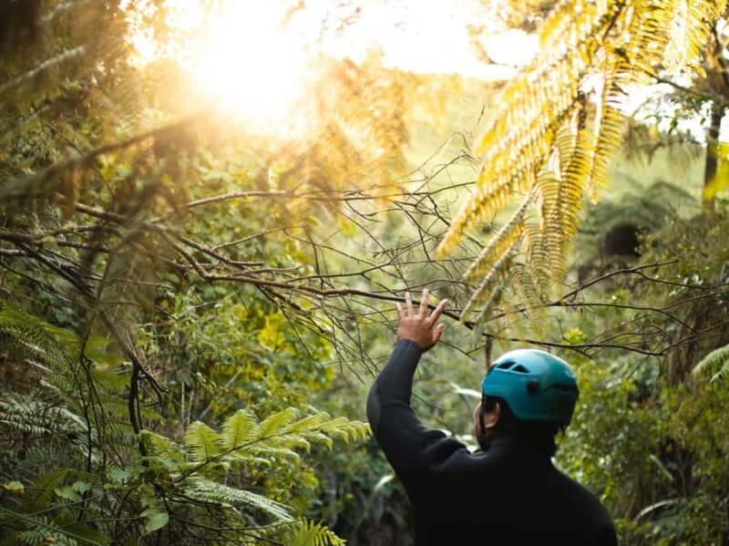Raglan: Karioi Canyoning - Final Thoughts: Is It Worth It?