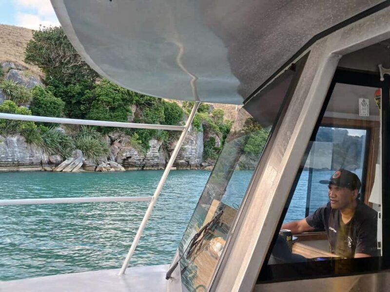 Raglan: Scenic Harbour Sunset Cruise - Practical Details: What to Expect