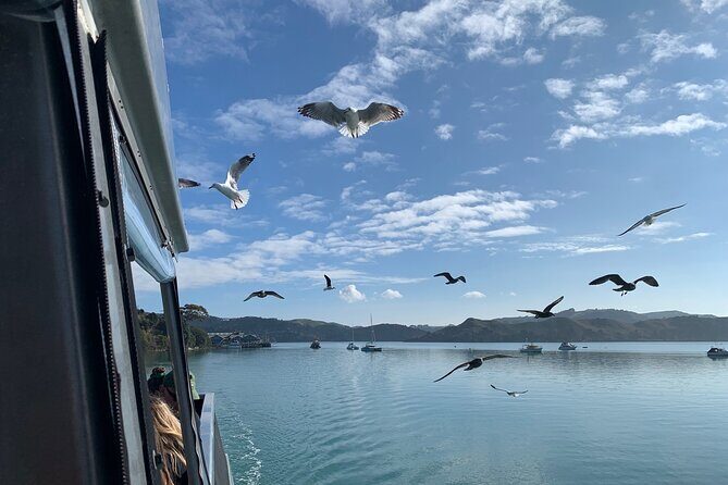 Raglan Scenic Nature Boat Cruise - Frequently Asked Questions (FAQs)