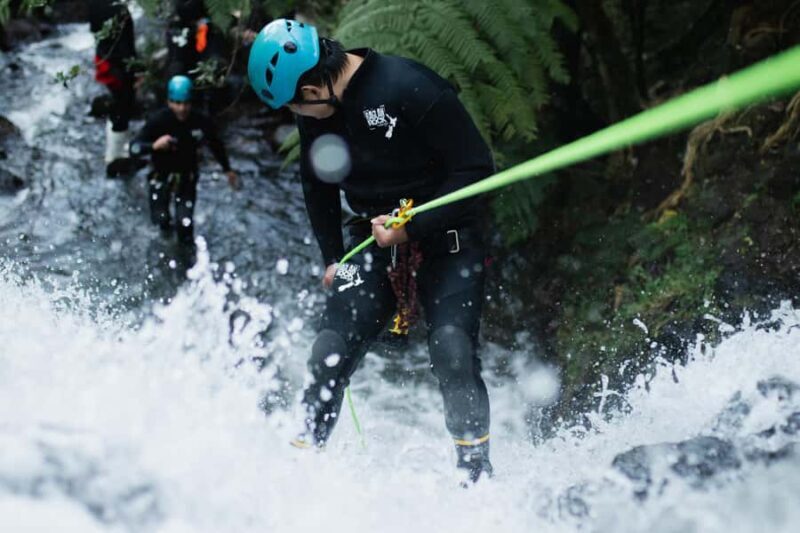 Raglan: Sunset Canyoning Tour and Glowworm Experience - Key Points