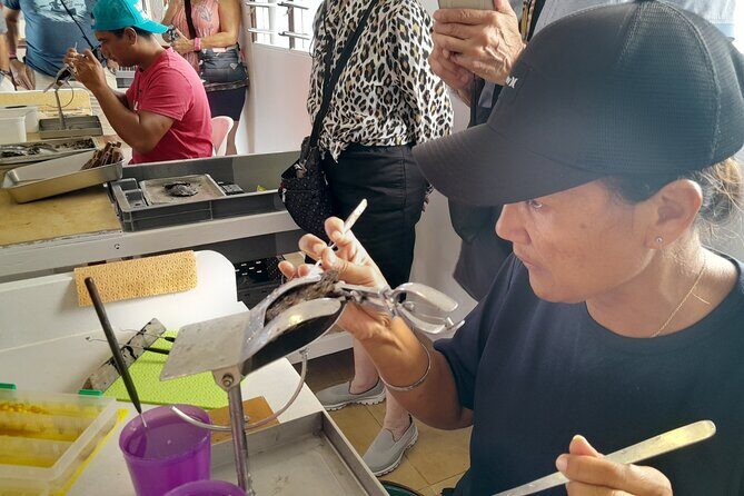 Raiatea-Beautiful Black Pearl of Tahiti and the Vanilla of Tahaa - Key Points