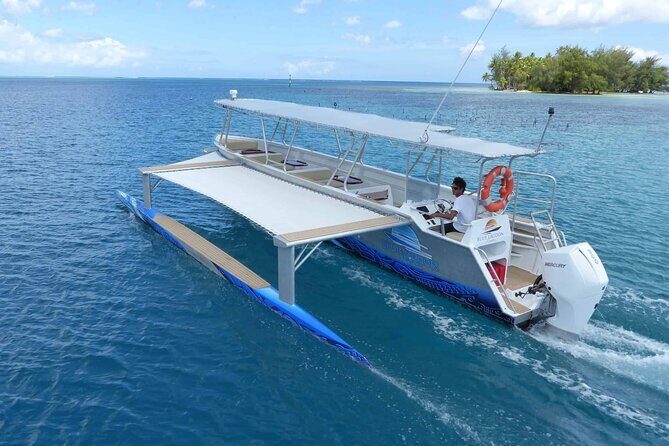 Raiatea-Tahaa Snorkeling in our beautiful Coral Garden - Final Thoughts