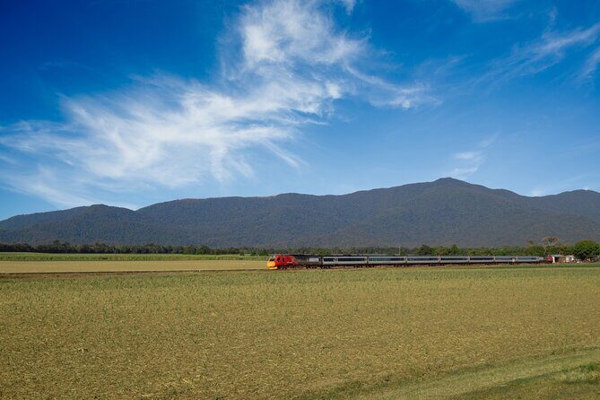 Railbed Brisbane to Cairns Train+Great Barrier Reef Day Tour - Comprehensive Review of the Railbed Brisbane to Cairns Train + Great Barrier Reef Day Tour