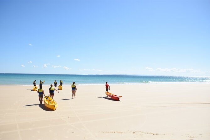 Rainbow Beach: Dolphin & Wildlife Ocean Kayak & Beach 4WD Tour - An In-Depth Look at the Rainbow Beach Dolphin & Wildlife Tour