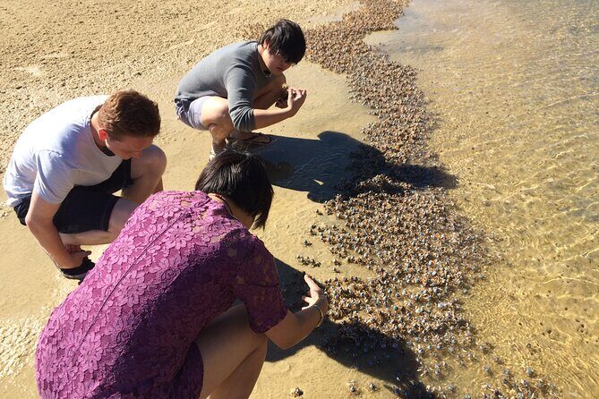 Rainbow Beach: Stand Up Paddle Board 4x4 Tour Double Island Point - FAQs