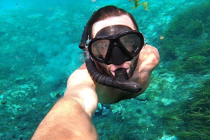 Rainbow River: 8AM & 3PM Snorkel or Scenic Wildlife Cruise - A Closer Look at the Rainbow River Tour