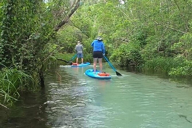 Rainbow River: 8AM & 3PM Snorkel or Scenic Wildlife Cruise - Frequently Asked Questions
