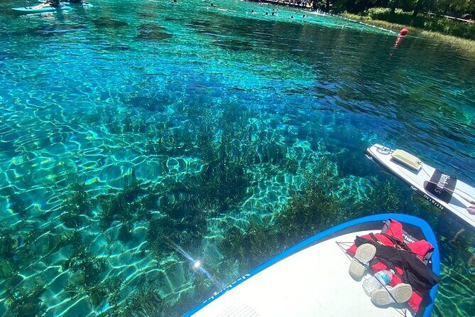 Rainbow Springs Electric Paddle Board Rentals - What Makes This Paddleboarding Experience Stand Out