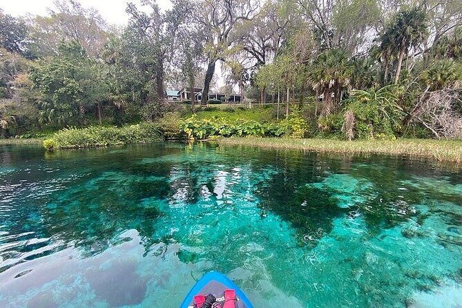 Rainbow Springs Electric Paddle Board Rentals - What We Love About This Experience