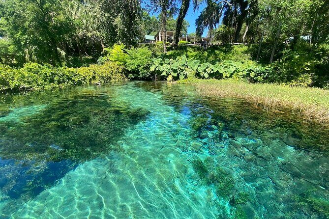 Rainbow Springs Electric Paddle Board Rentals - Who Should Consider This?