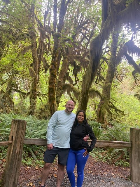 Rainforest and Olympic National Park Highlights - The Itinerary Breakdown: A Day in the Olympic Peninsula