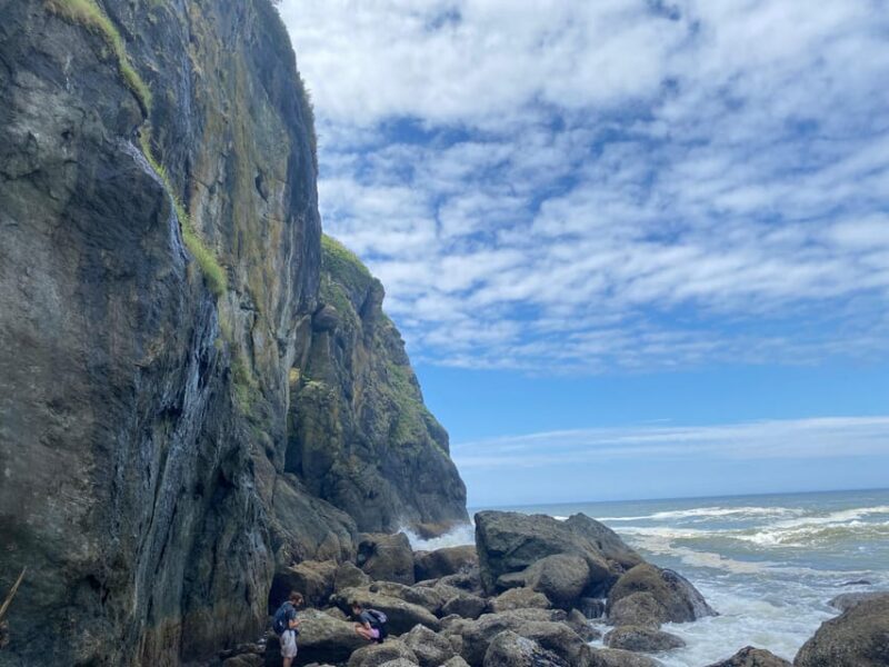 Rainforest and Olympic National Park Highlights - The Value of the Experience