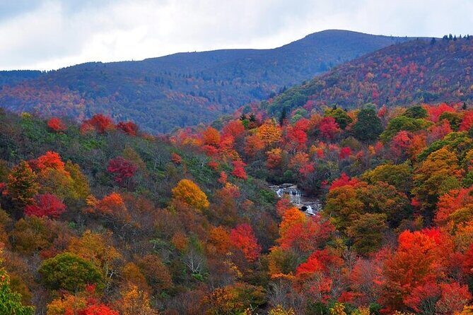 Rainforests and Waterfalls of Western NC - Who Is This Tour Best For?