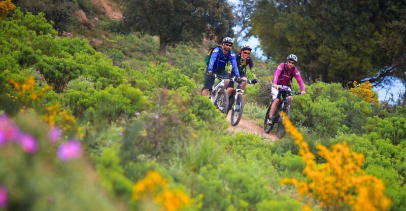 Ramatuelle: Tracks & Tasting Winery Tour by Mountain E-Bike - Exploring the Itinerary