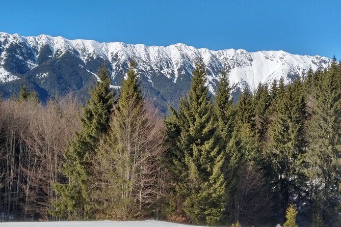 Rambling in Transylvania - The Practicalities: Timing, Group Size, and Value