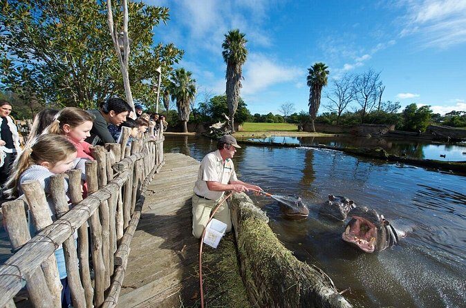 Ranger Mystery Tour at Werribee Open Range Zoo - excl. entry - The Value of Behind-the-Scenes Access  