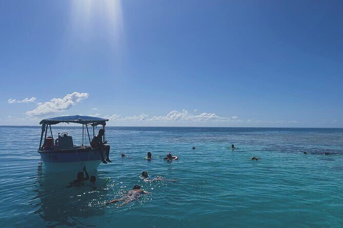 Rangiroa Snorkeling and Dolphin Cruise - Who Should Book This Tour?