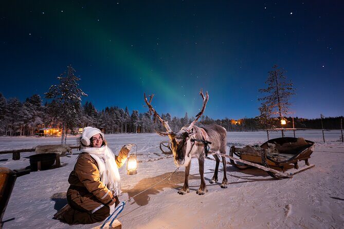 Ranua Lupland Aurora Activity Park  After Dark Adventure - Key Points