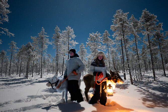 Ranua Lupland Aurora Activity Park  After Dark Adventure - Authentic Experiences and Guest Highlights