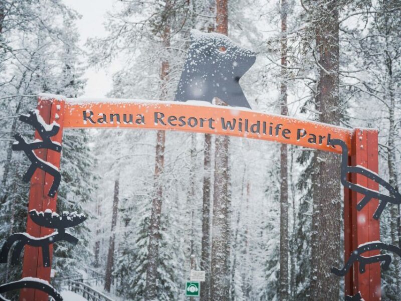 Ranua Wildlife Park Day: Visit the Arctic Animals - An In-Depth Look at the Ranua Wildlife Park Day Tour