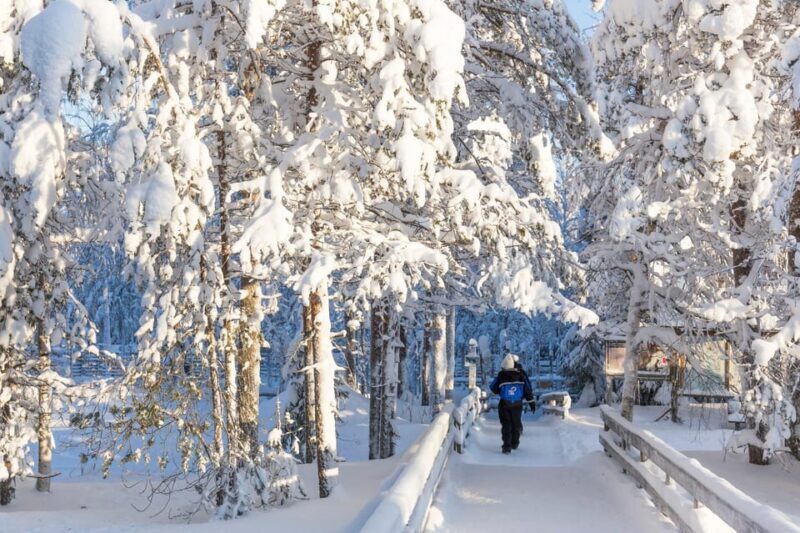 Ranua: Wildlife Park Entrance Ticket - Exploring Ranua Wildlife Park: An Arctic Adventure in Lapland