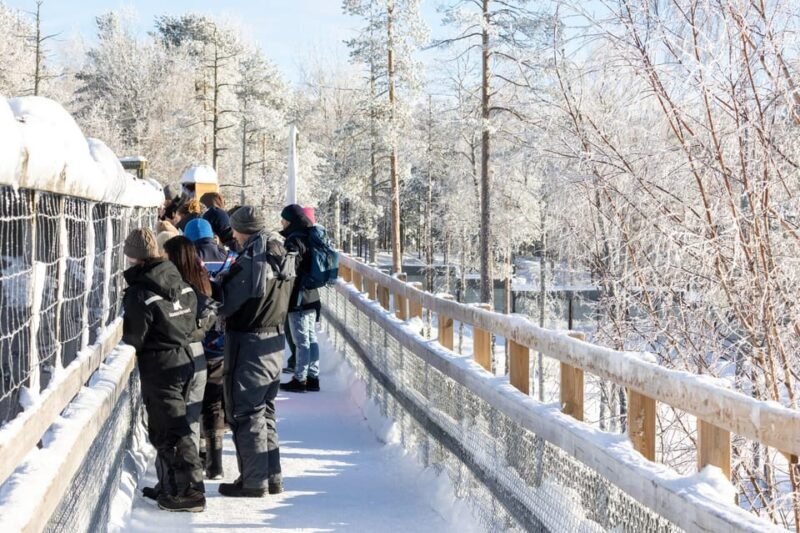 Ranua: Wildlife Park Entrance Ticket - The Sum Up