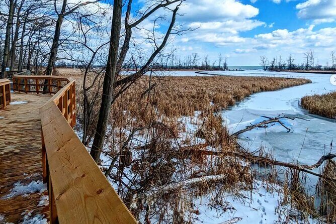 Rattray Marsh Nature Escape - Analyzing the Itinerary in Detail