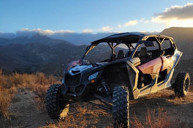 Razer Valley of Guadalupe Tour & Elena Restaurant & Bakus - Exploring the Itinerary: What You Can Expect