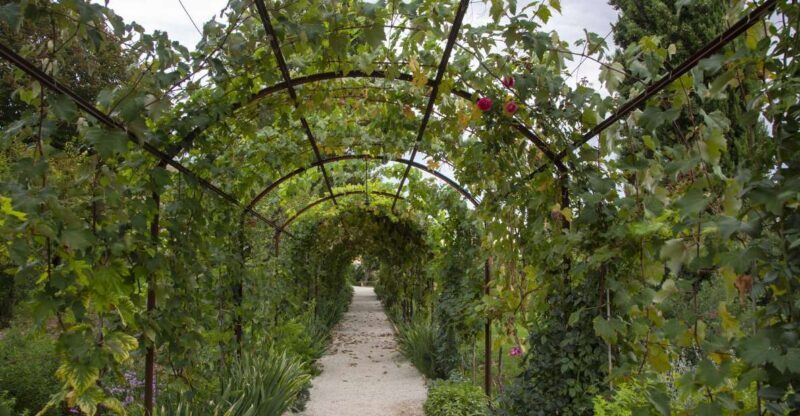 Recanati: Orto sul colle dell'infinito Entry Ticket - A Guided Journey Through Poetry