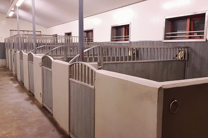 Red Lava Horse Riding Tour From Reykjavik - The Sum Up